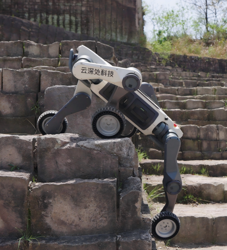 DEEPRobotics