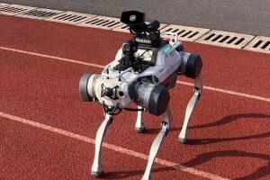 DEEPRobotics